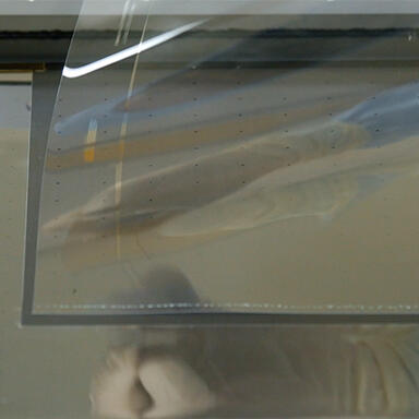 Flexible Touch Panel Sensor Using SuPR-NaP Method | TANAKA Insights ...